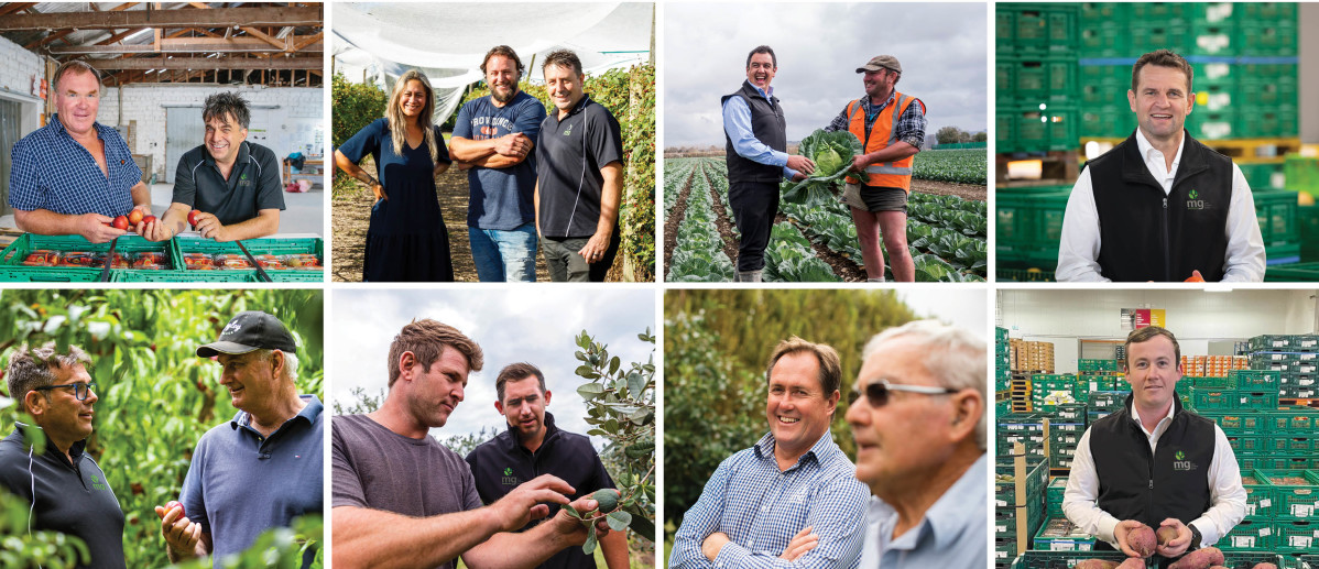 MG procurement team overview | MG New Zealand Fresh Produce Group